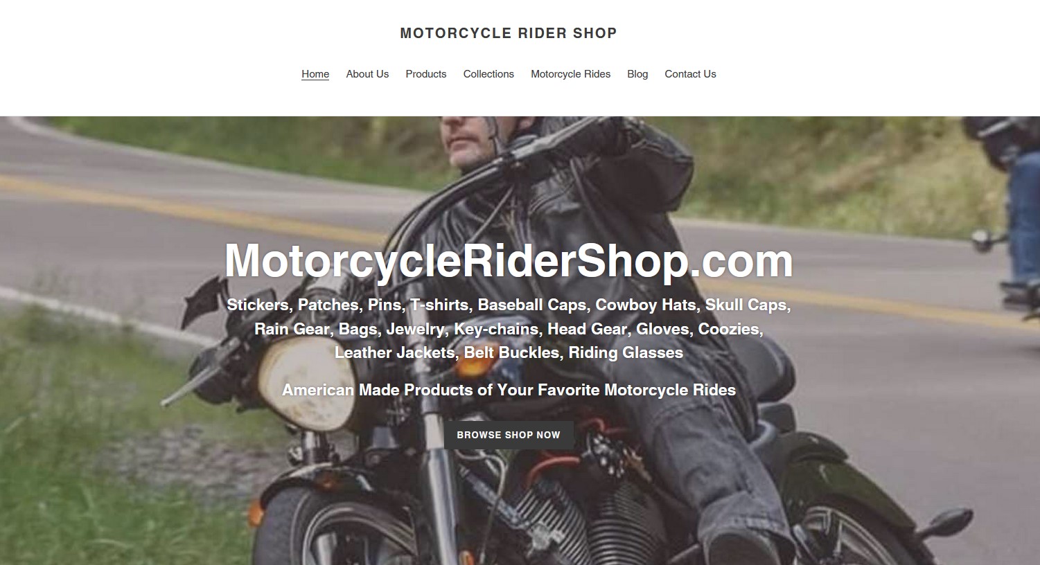 About The Snake 421 Motorcycle Ride & the Best of The Snake